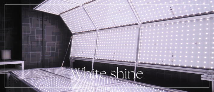 美しさで箔をつける BEBEAURA OFFICIAL(ビボーラオフィシャル) – BEBEAURA Store